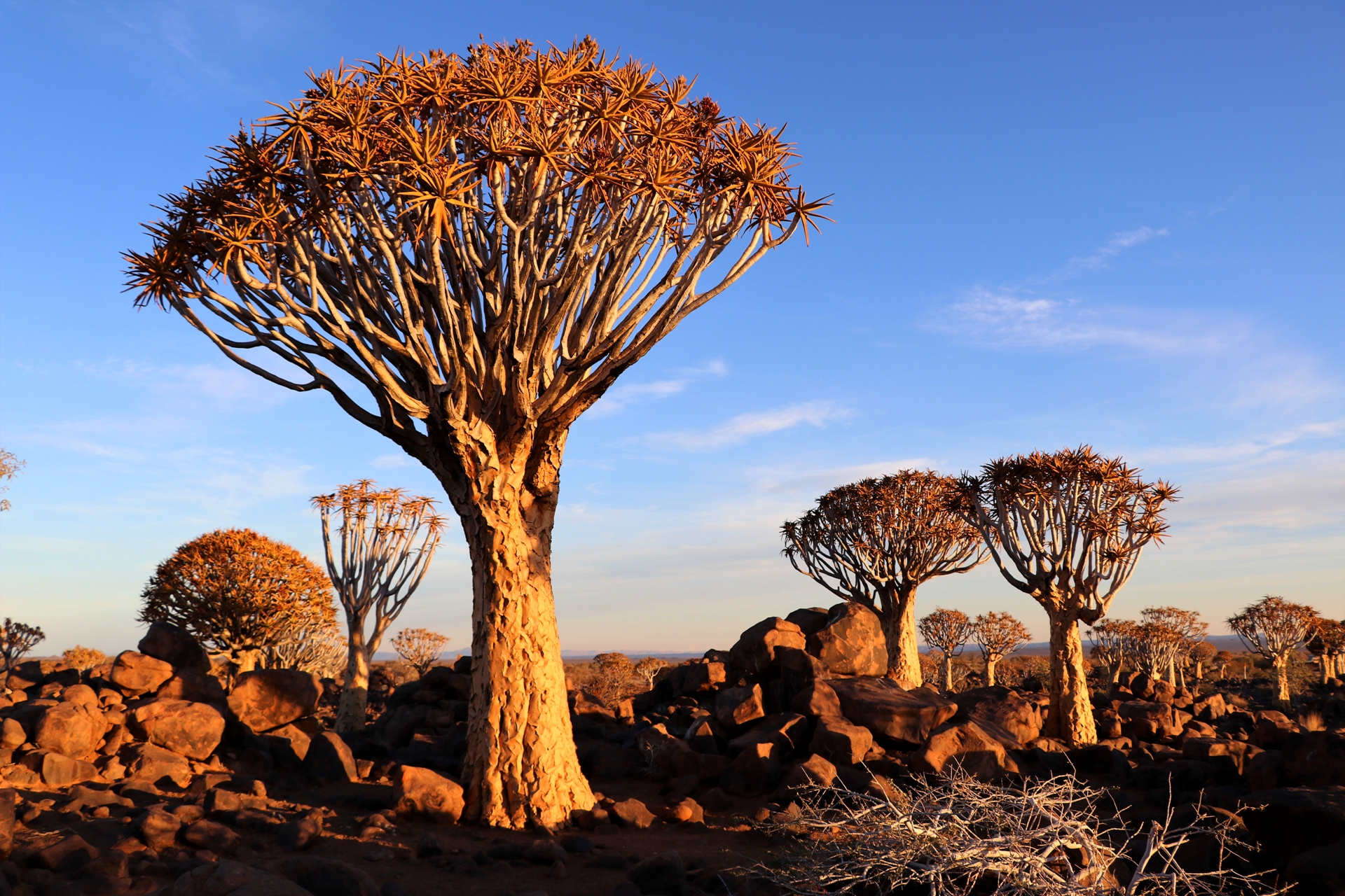 What to Visit in Namibia - Stunning Places to See - 7 Days Abroad
