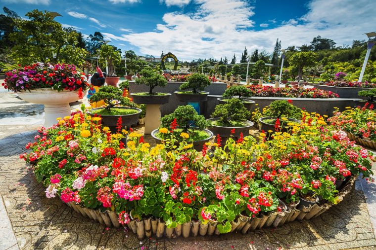 Best Things to Do in Da Lat, Vietnam | Where to Go - 7 Days Abroad