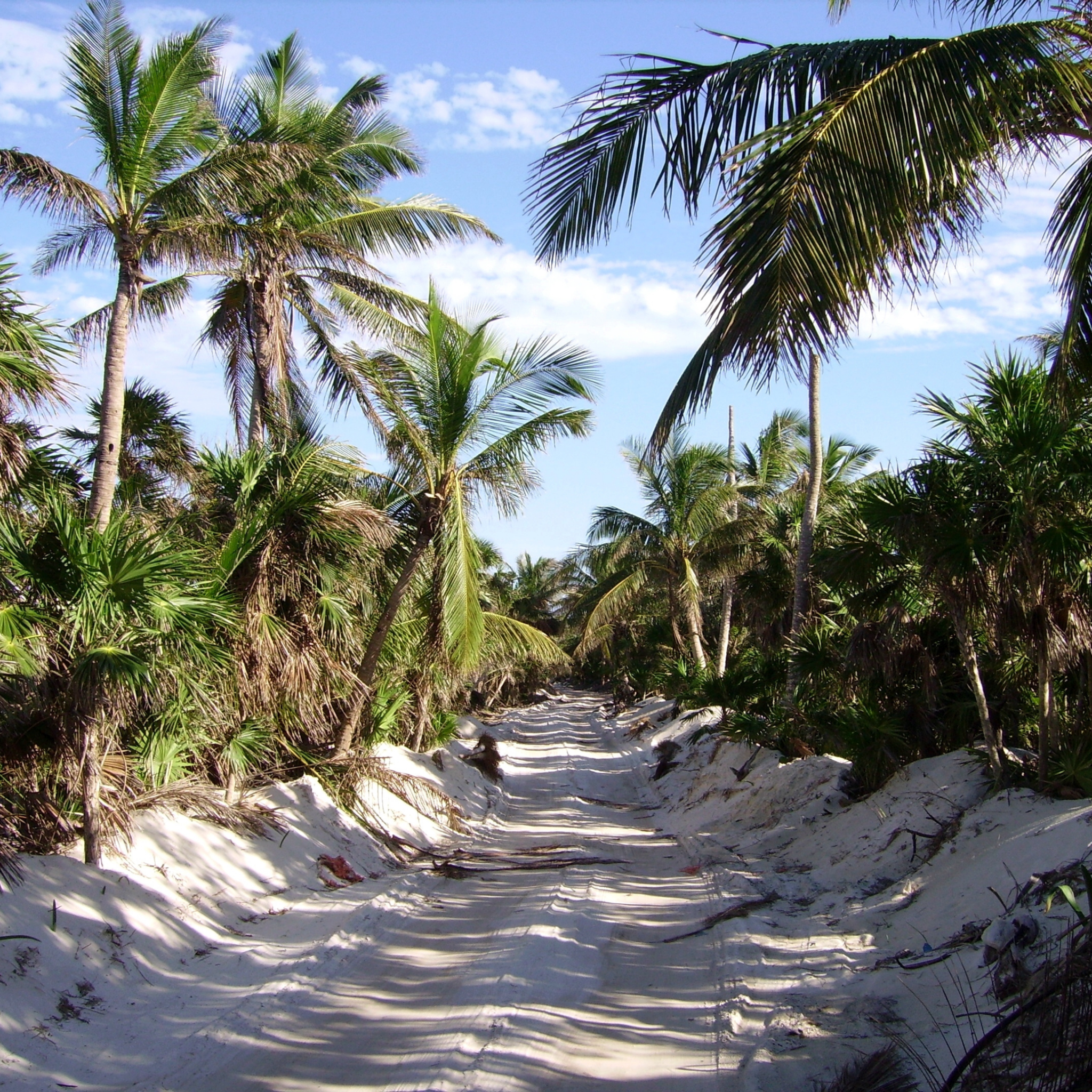 Top Things to Do in Tulum, Mexico - 7 Days Abroad