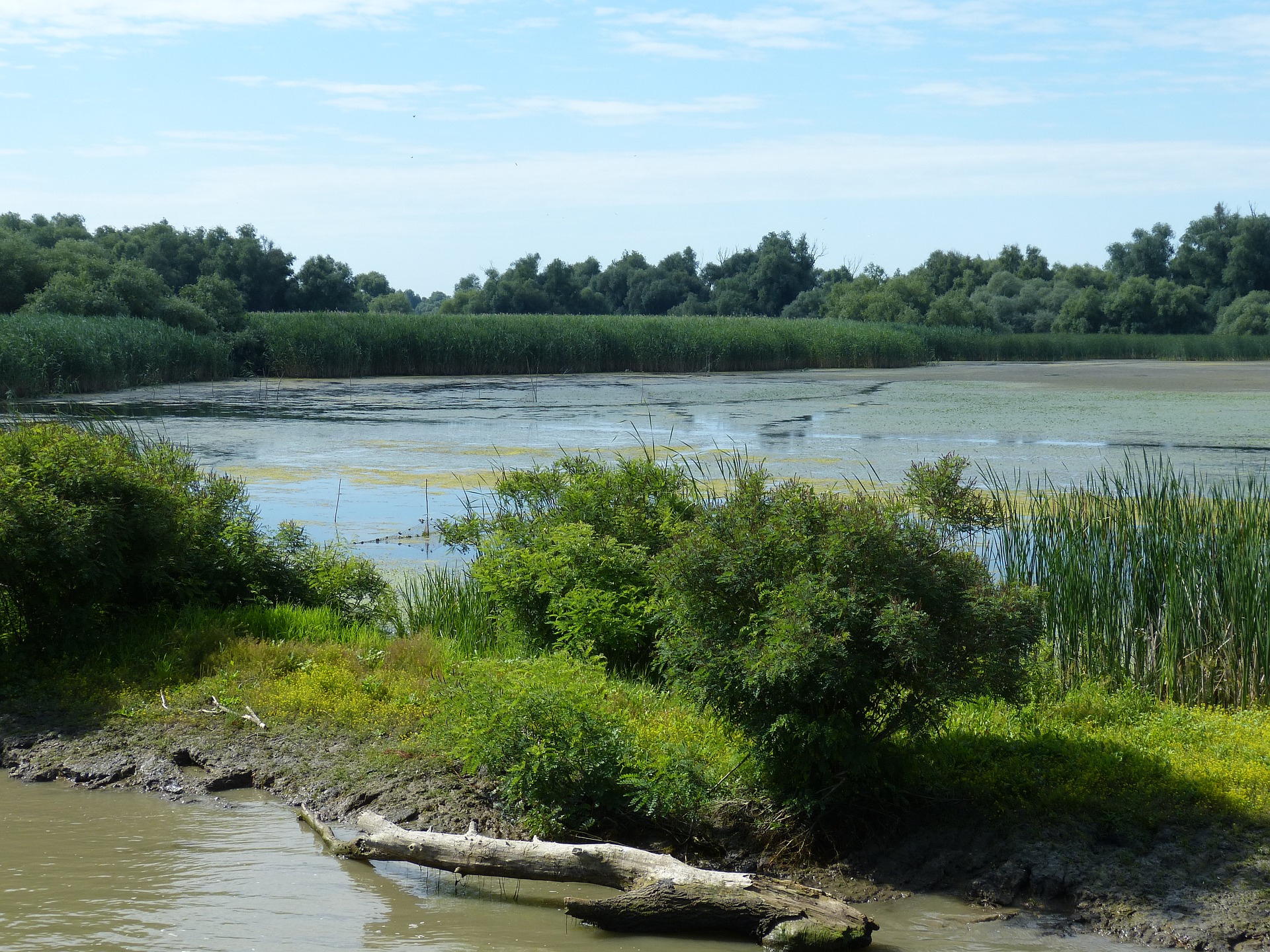 Visiting the Danube Delta: When, Where, How? - 7 Days Abroad